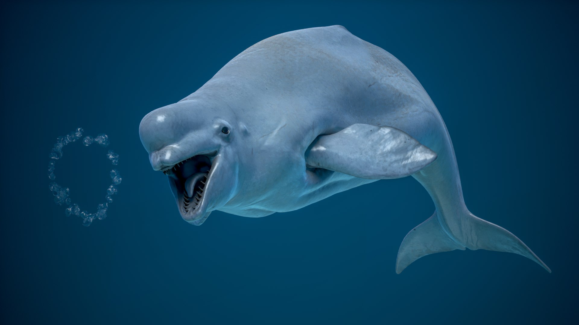 Beluga Whale Dolphin Narwhal Rigged Animated 3D Model - TurboSquid 2329173