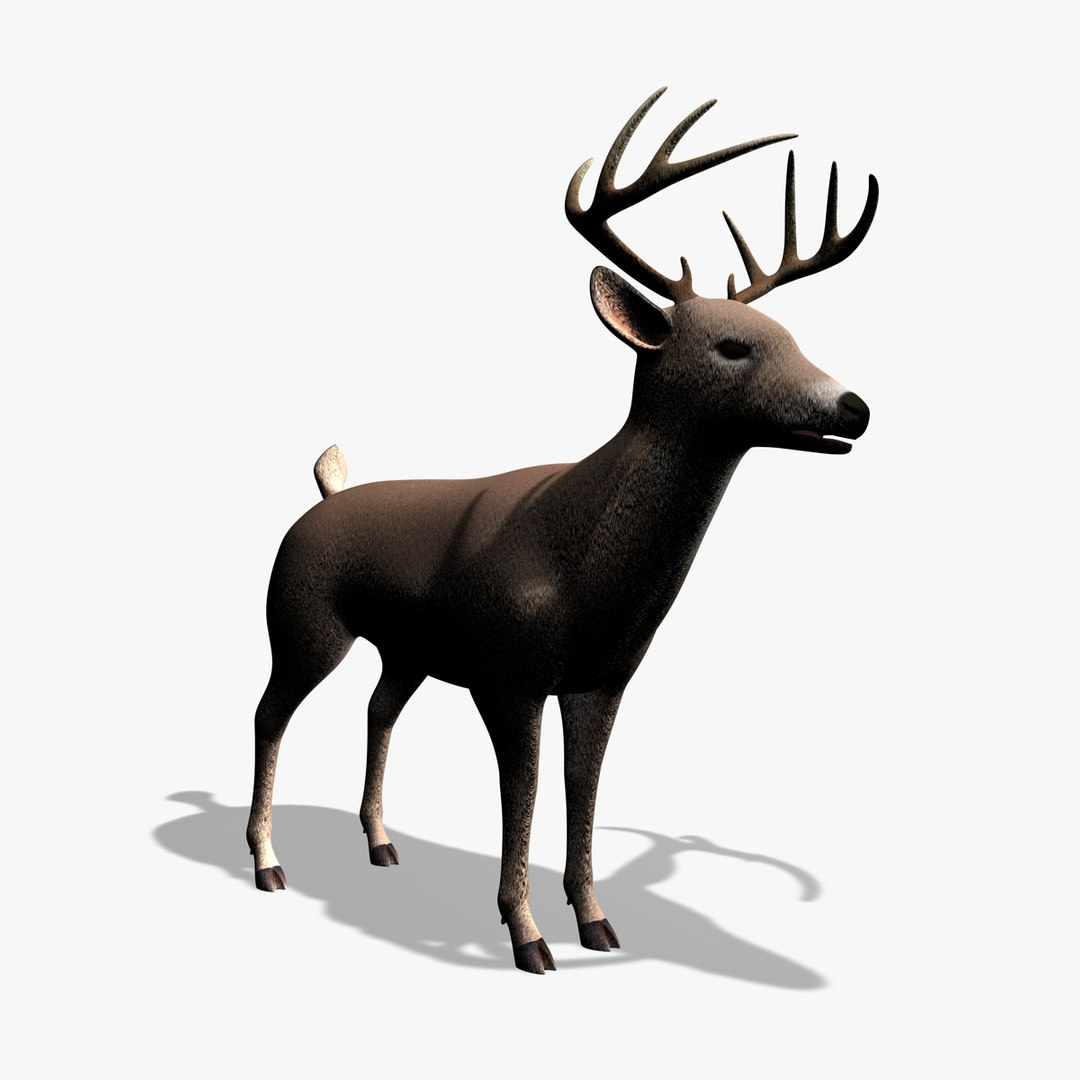Deer 3d Dxf