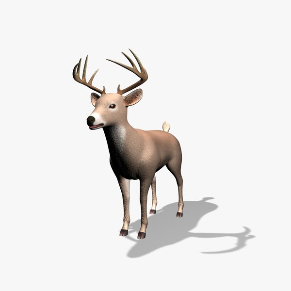 Buck 3D Models for Download | TurboSquid