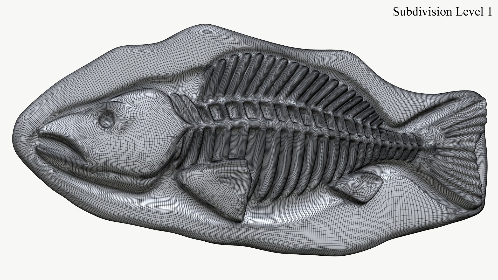Fish Fossil 001 Textured 3D - TurboSquid 2298475