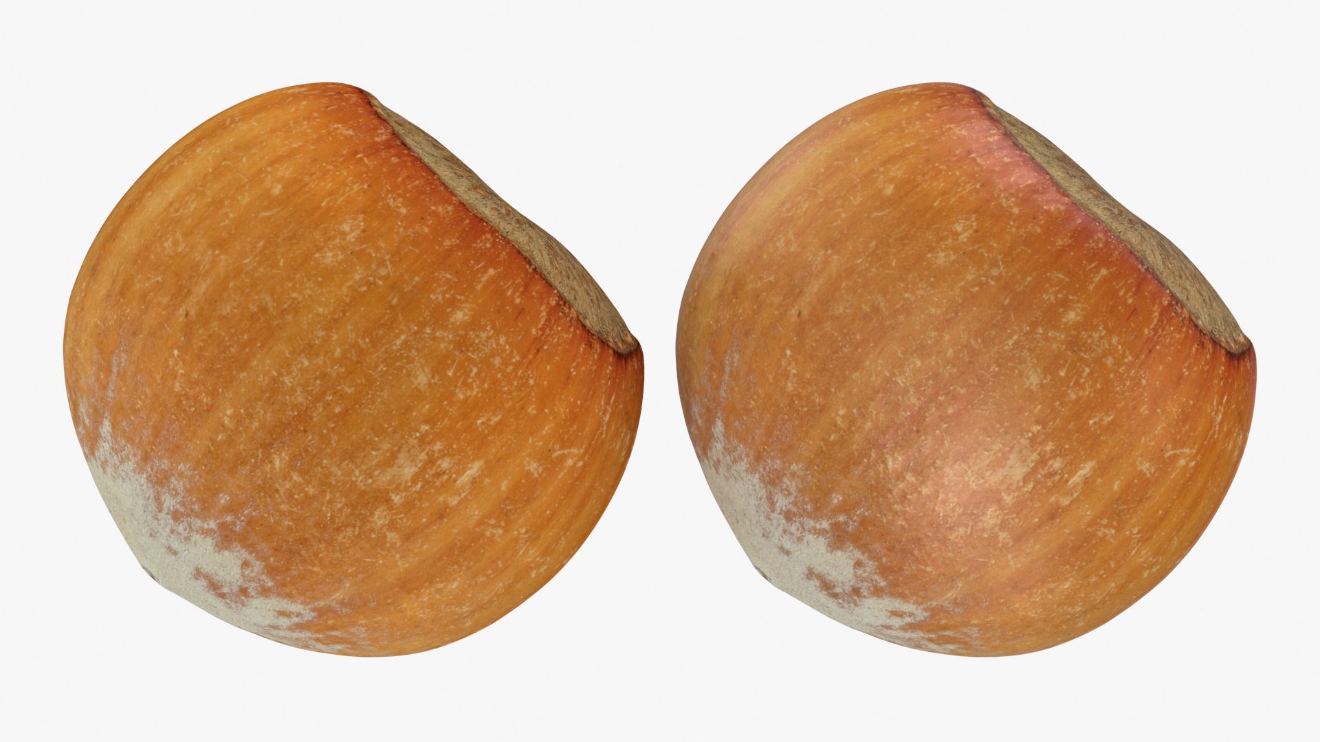 3D Hazelnuts In Shell Collection - TurboSquid 2293859
