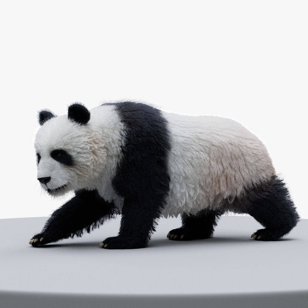 3D Panda RIGGED - TurboSquid 2055538
