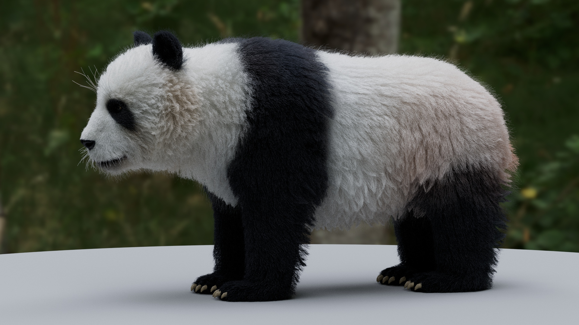 3D Panda RIGGED - TurboSquid 2055538