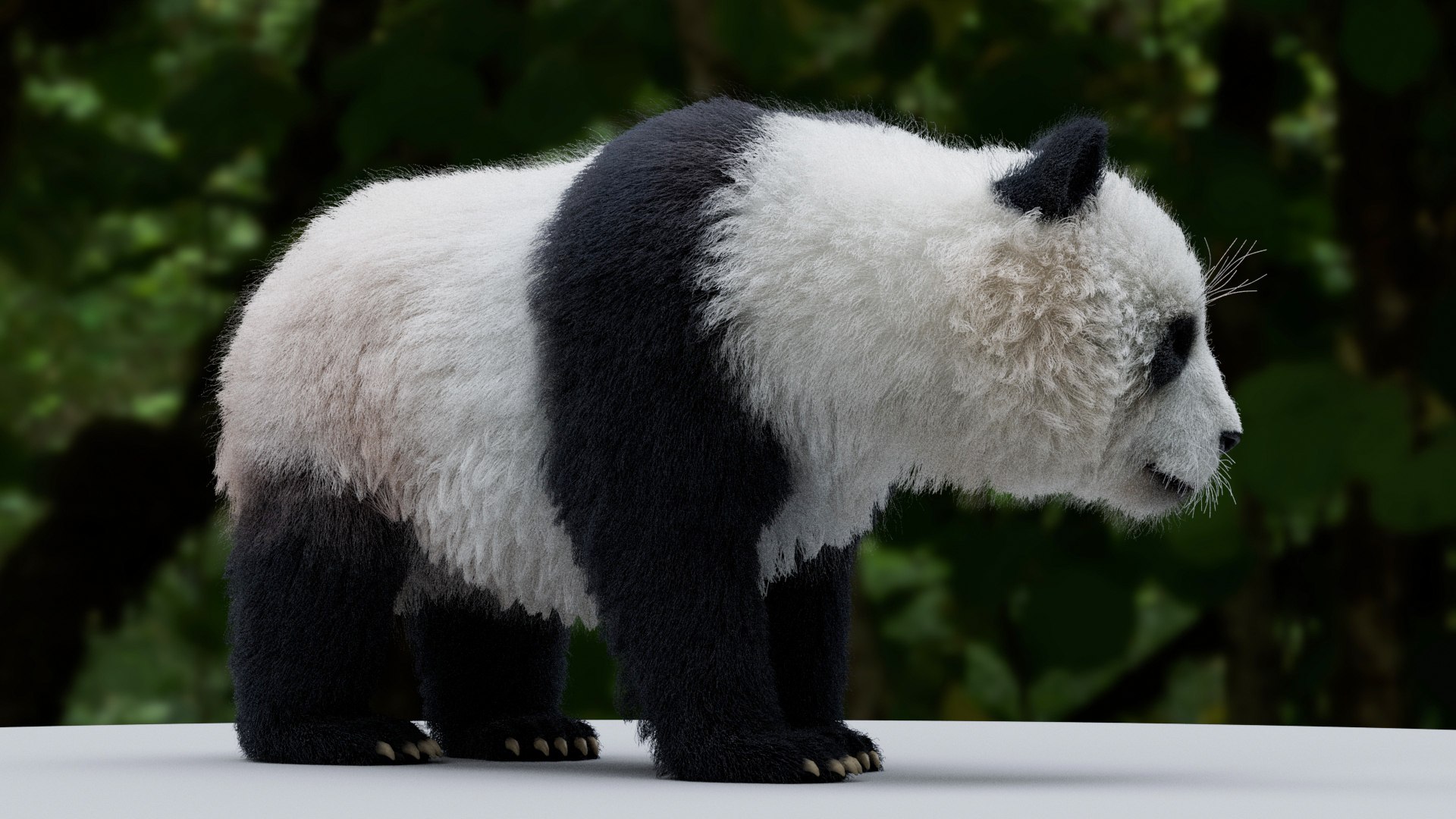 3D Panda RIGGED - TurboSquid 2055538