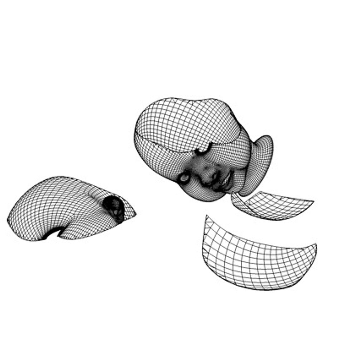 3d broken doll model