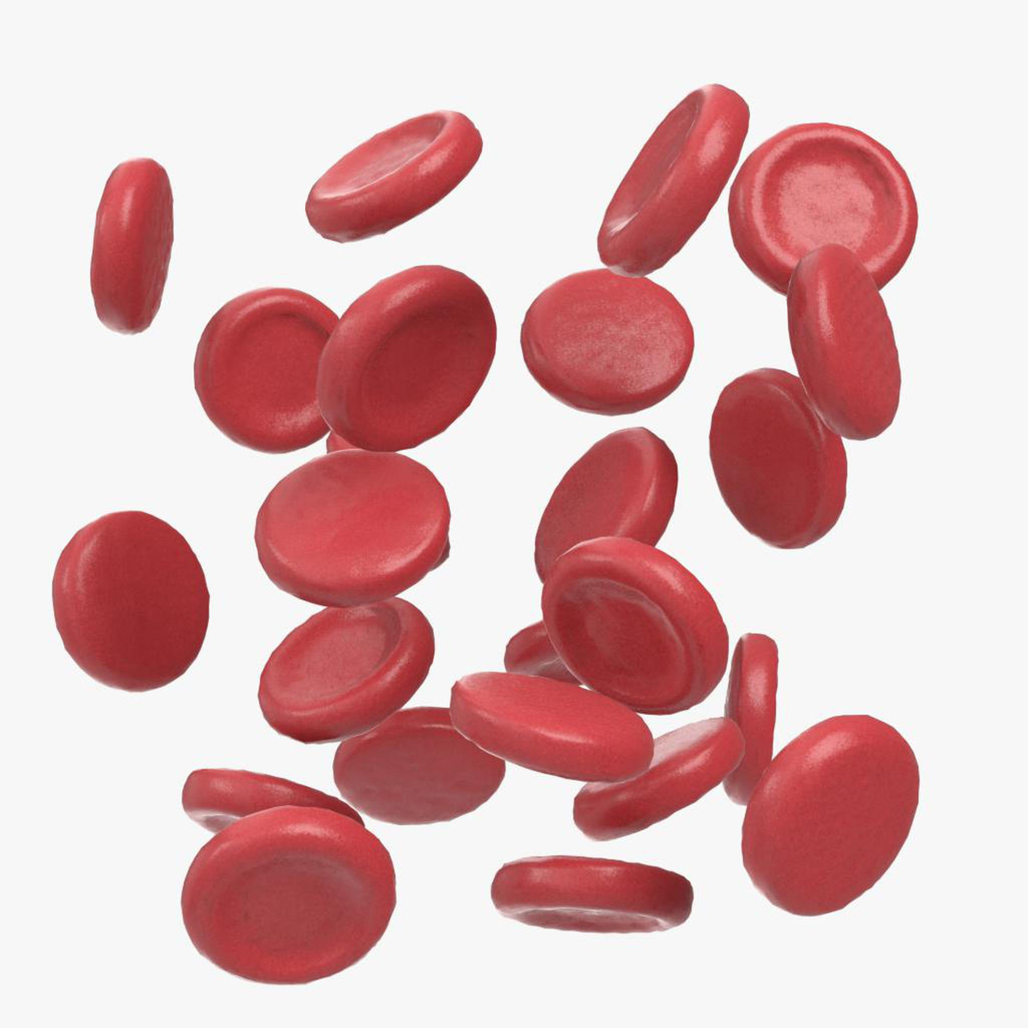 modelo 3d las células rojas de la sangre - TurboSquid 1378393