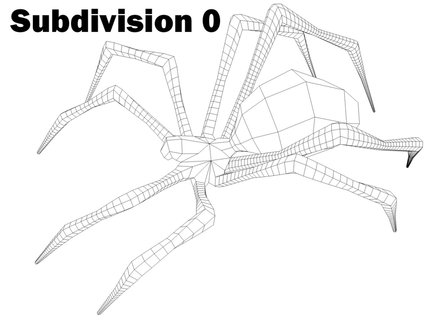 Basic Mesh Spider 3d Model