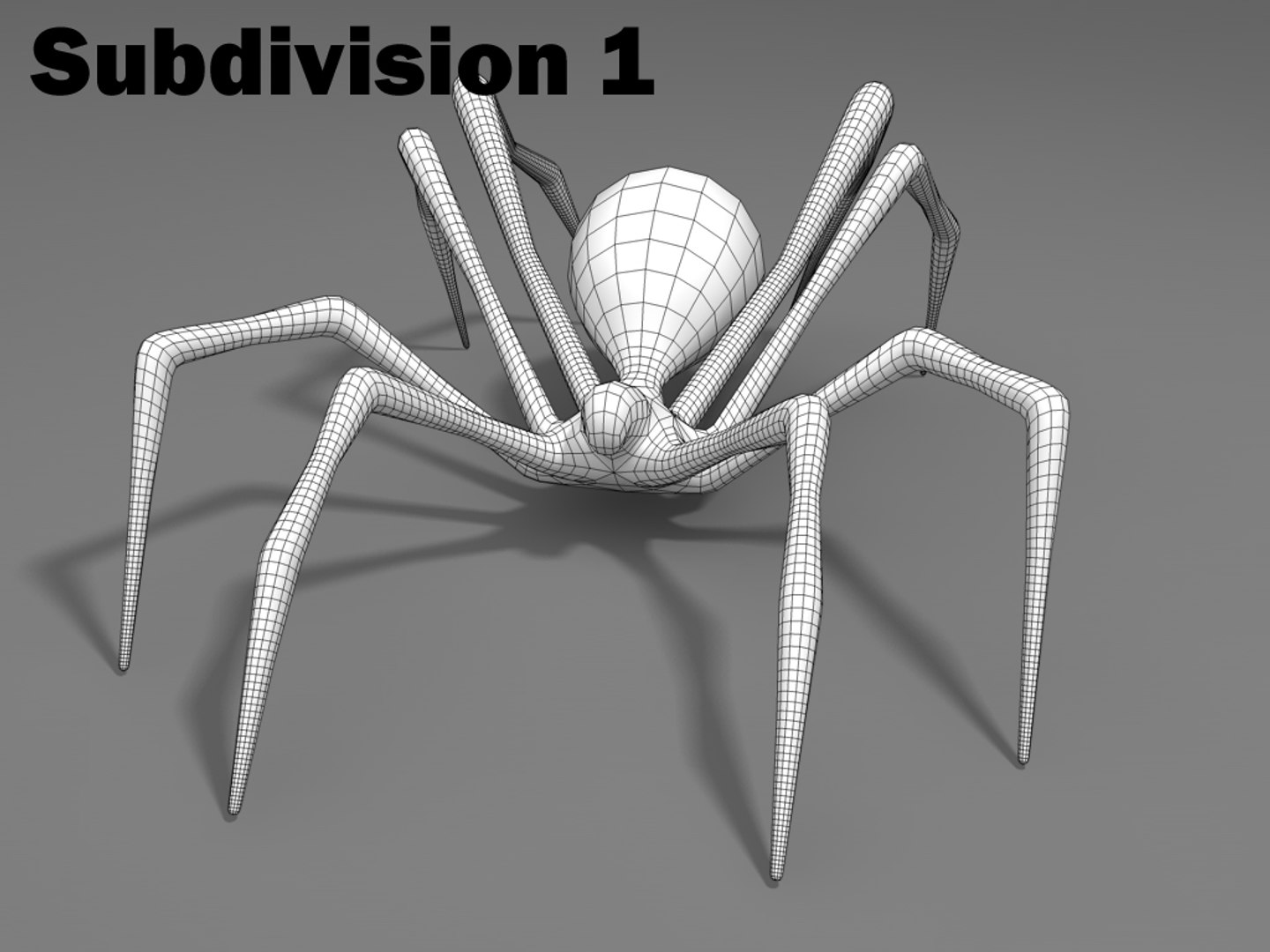 Basic Mesh Spider 3d Model