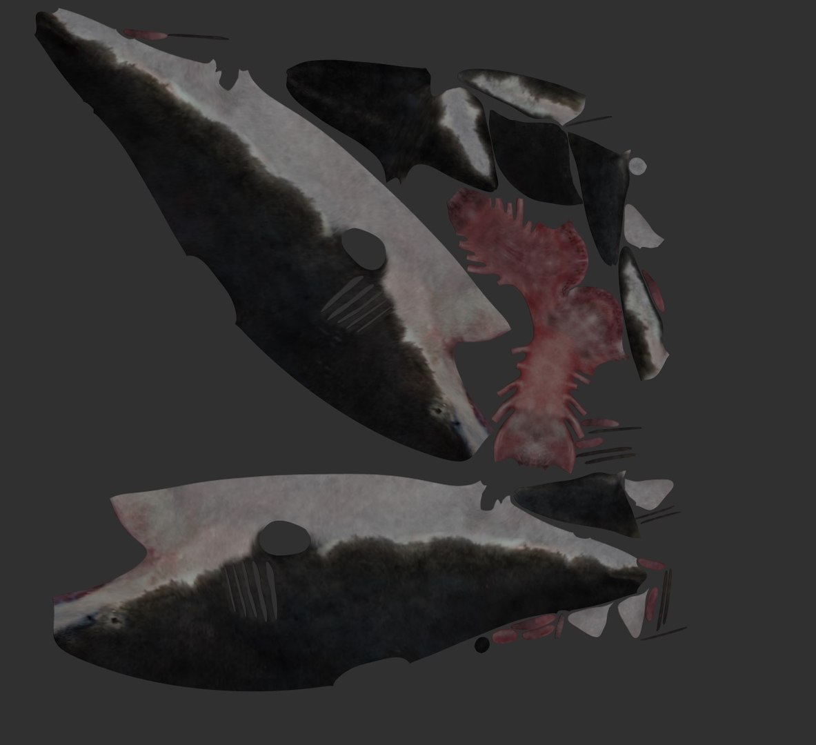 3D Model Animation Ar Rig Shark - TurboSquid 1465796