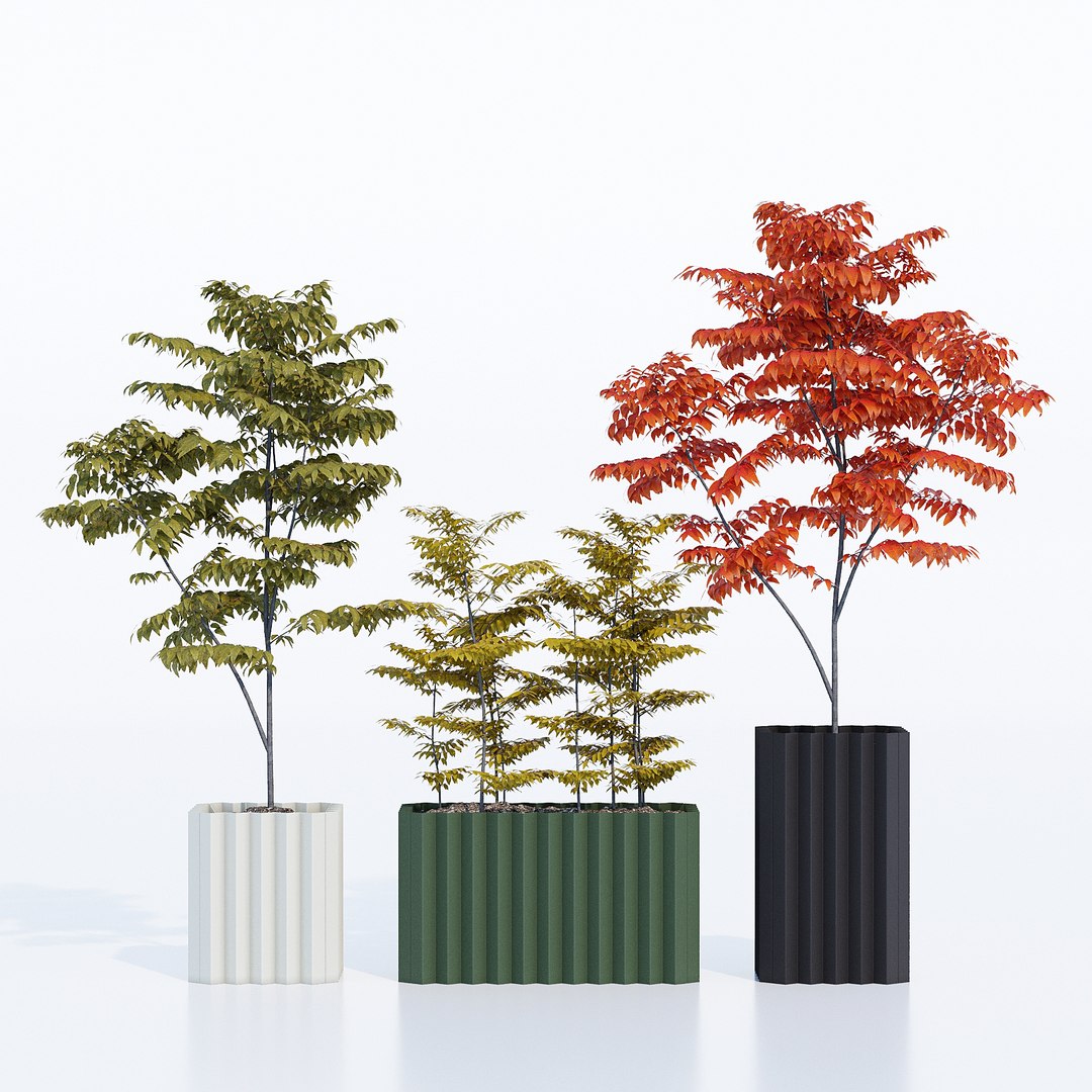 3D planter model - TurboSquid 1632856