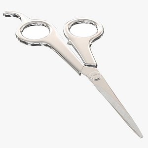 pair compass 3d model