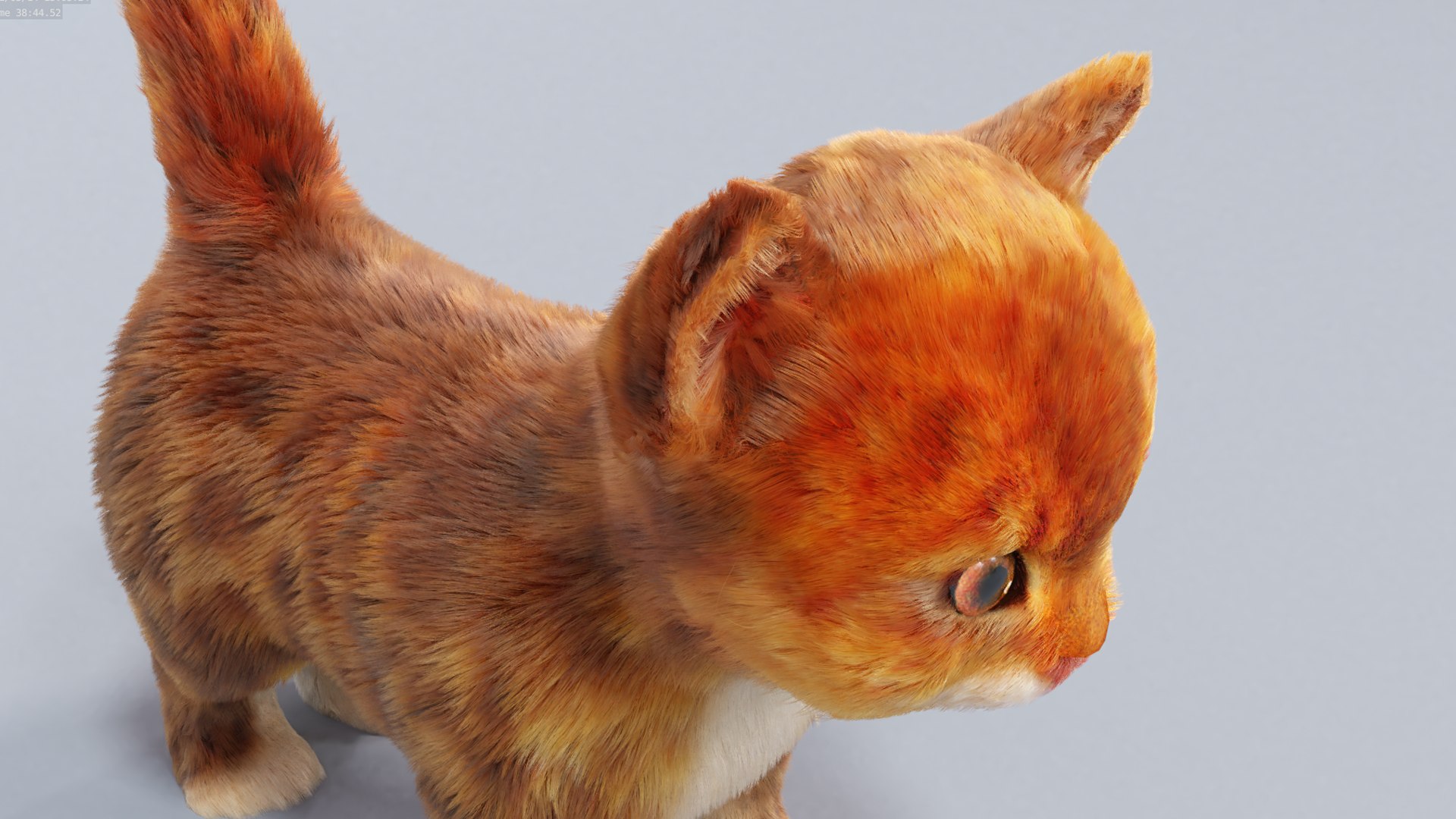 Cute Hair Fur Cat 3D Model - TurboSquid 1704671