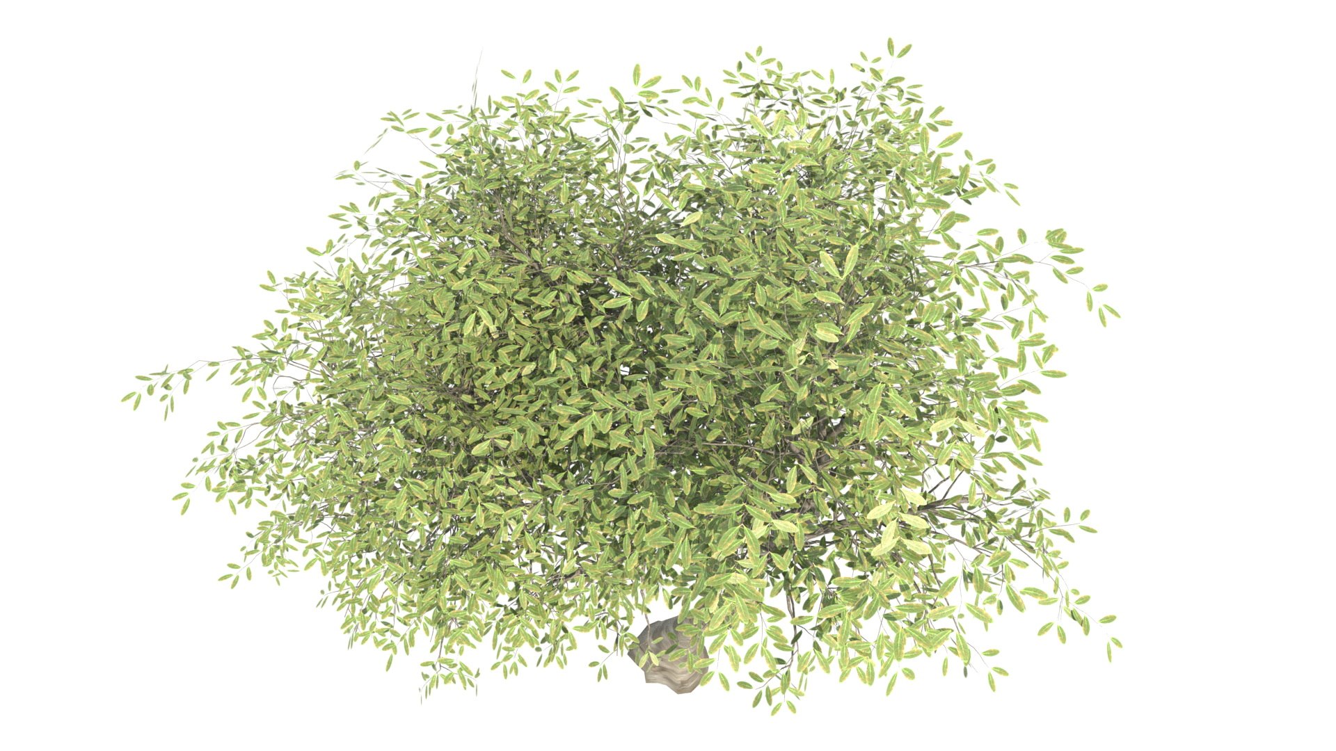 Free 3D Yalda Tree 8 Model - TurboSquid 2316710