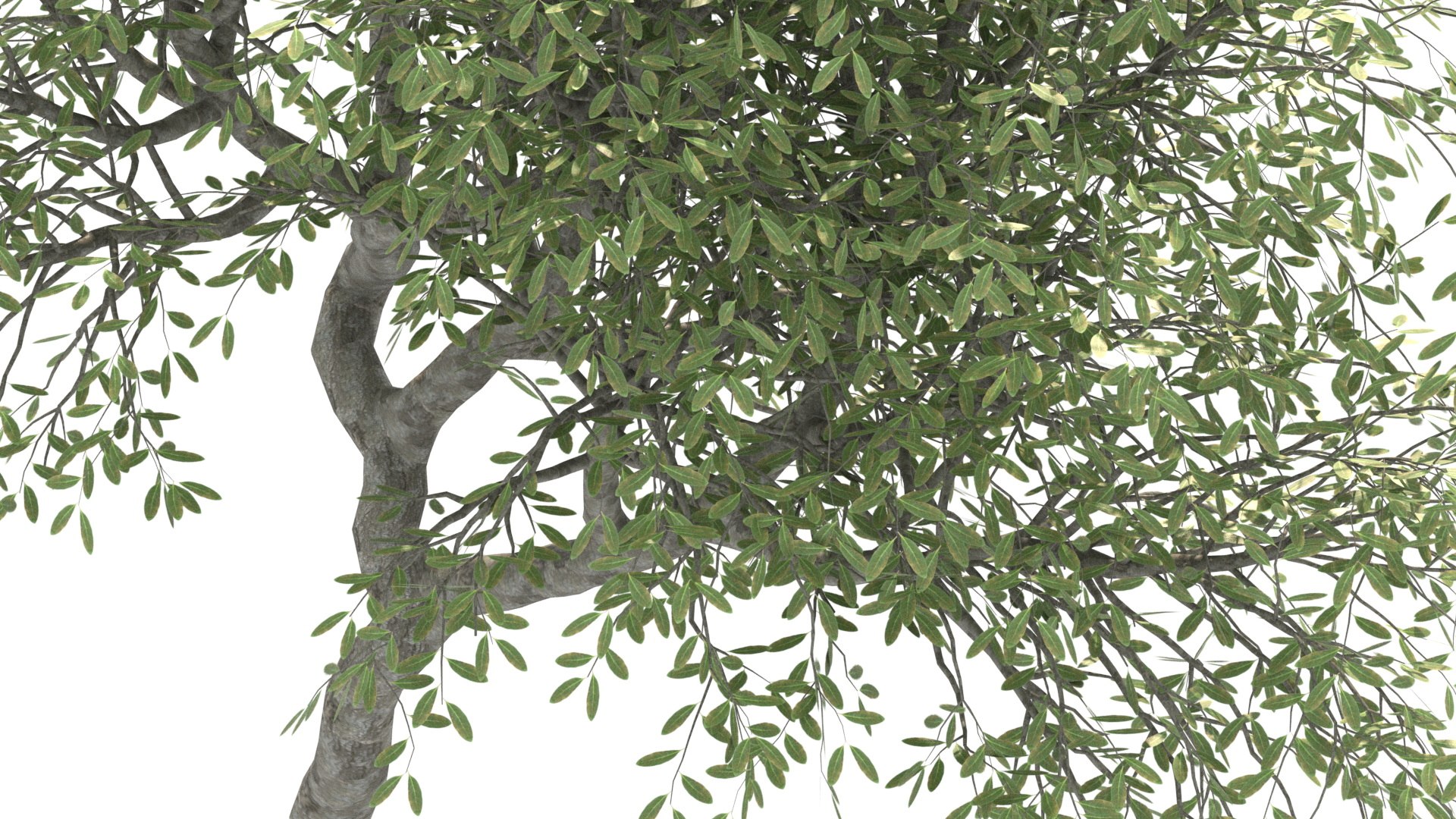 Free 3D Yalda Tree 8 Model - TurboSquid 2316710