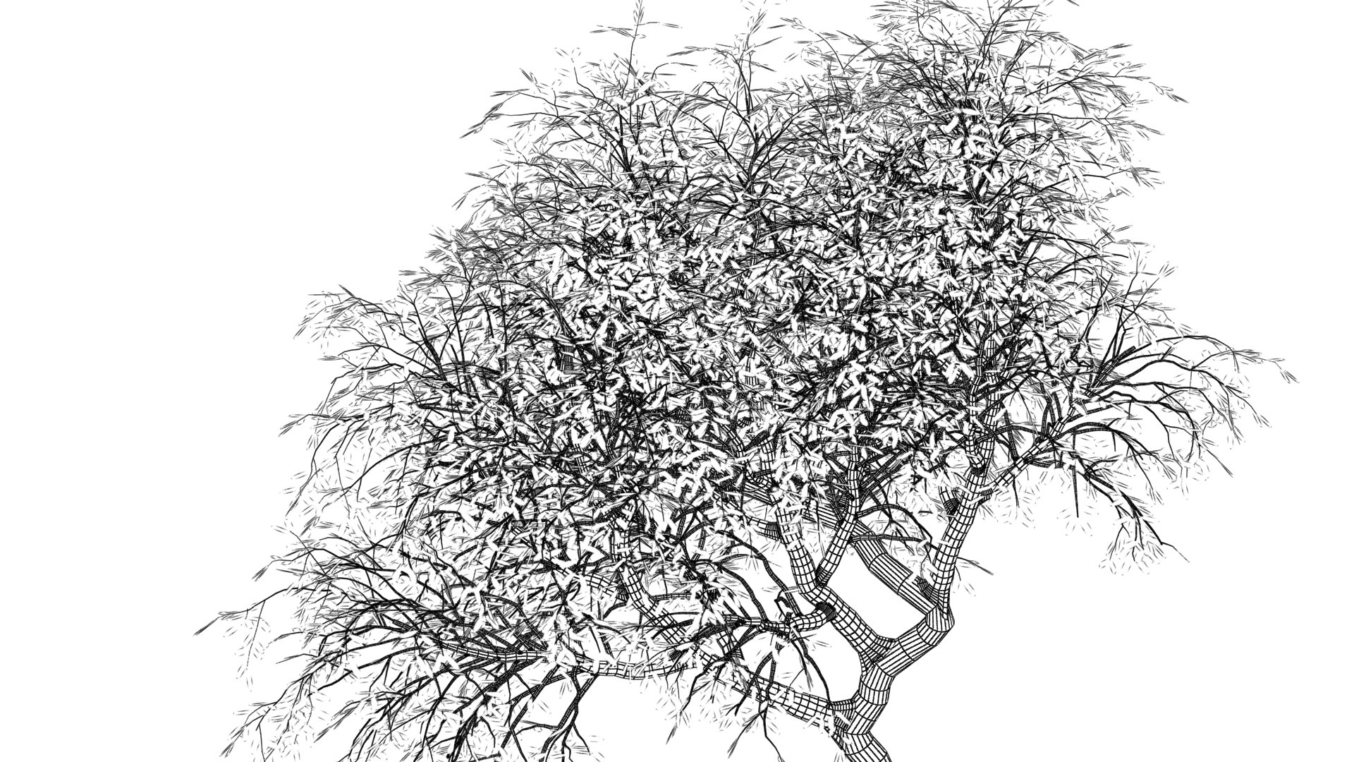 Free 3D Yalda Tree 8 Model - TurboSquid 2316710