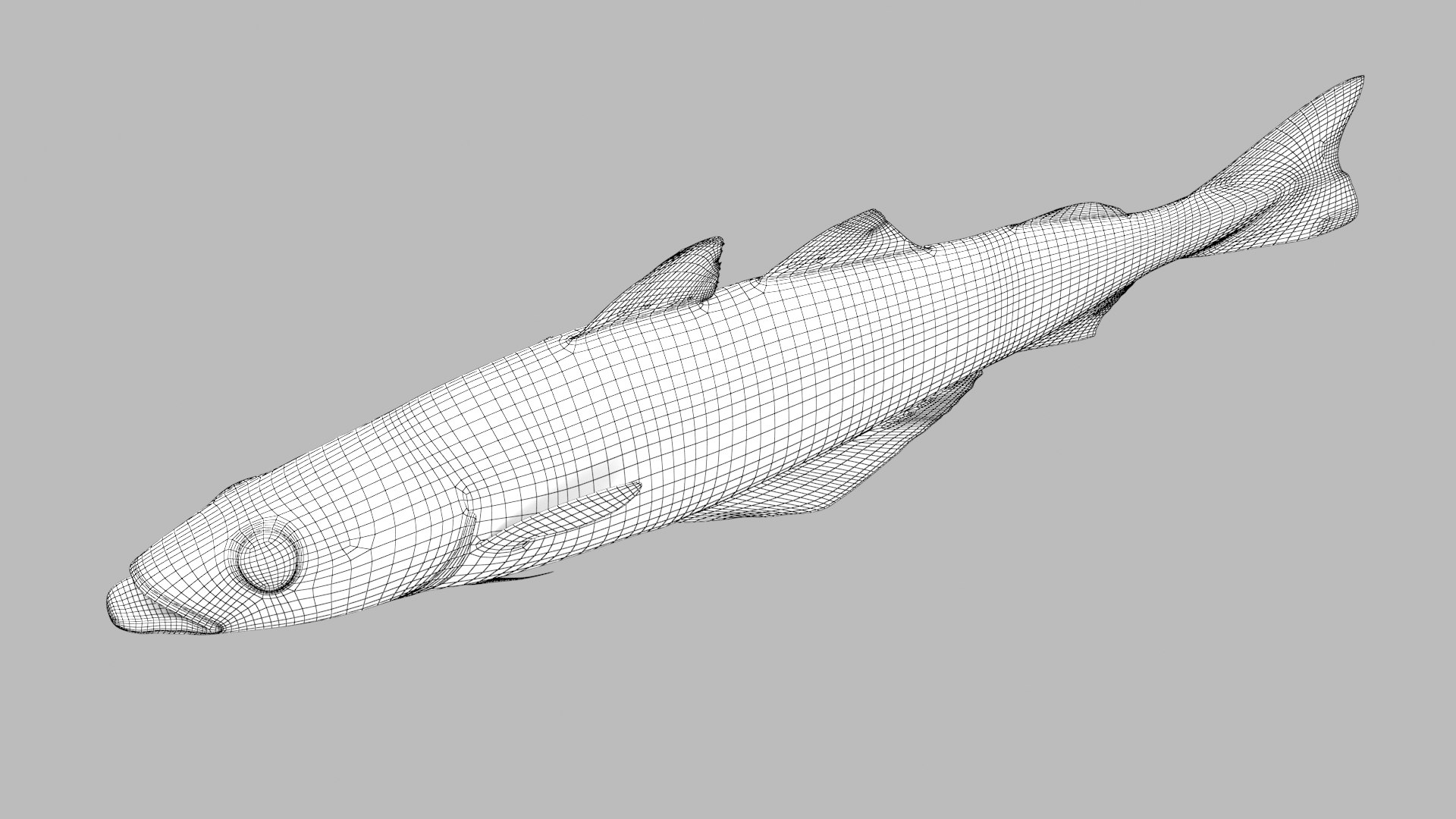 3D Pollack Model - TurboSquid 1832903