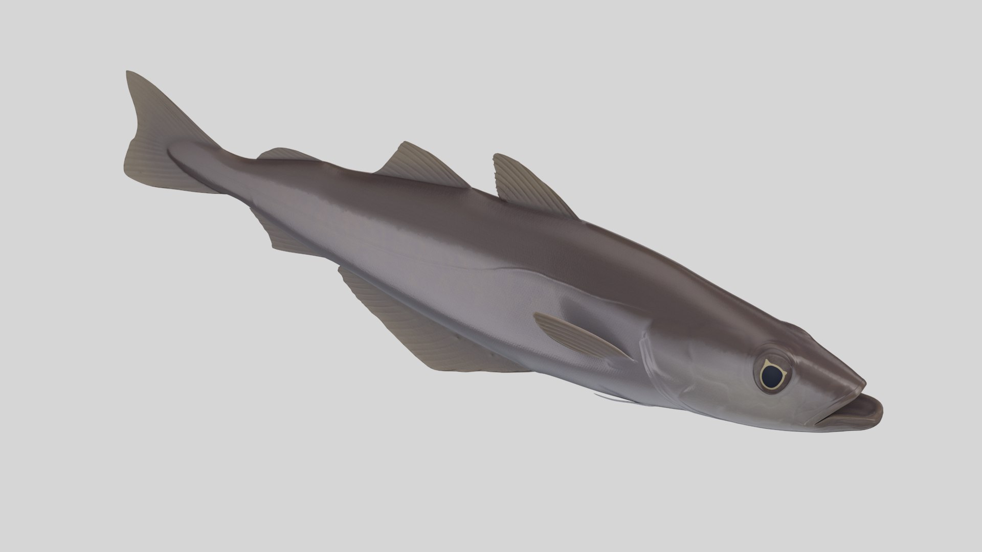 3D Pollack Model - TurboSquid 1832903