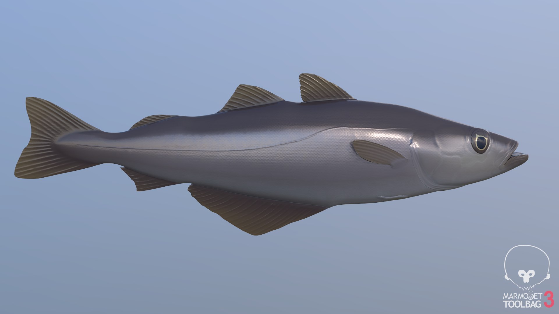 3D Pollack Model - TurboSquid 1832903