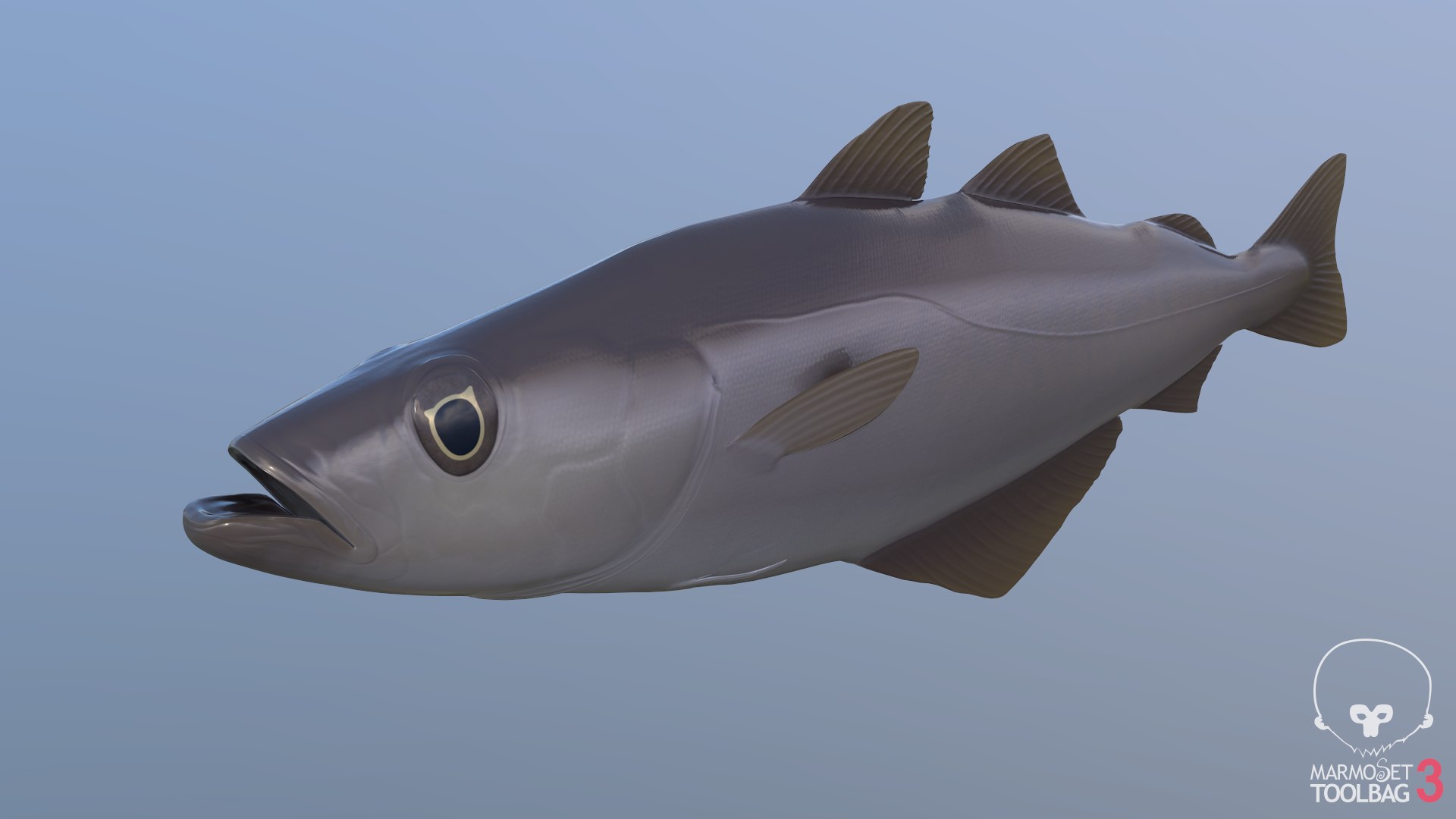 3D Pollack Model - TurboSquid 1832903