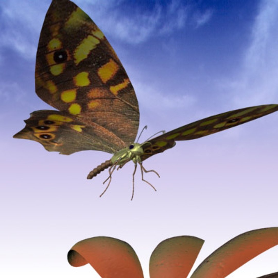 3ds Max Butterfly Moth