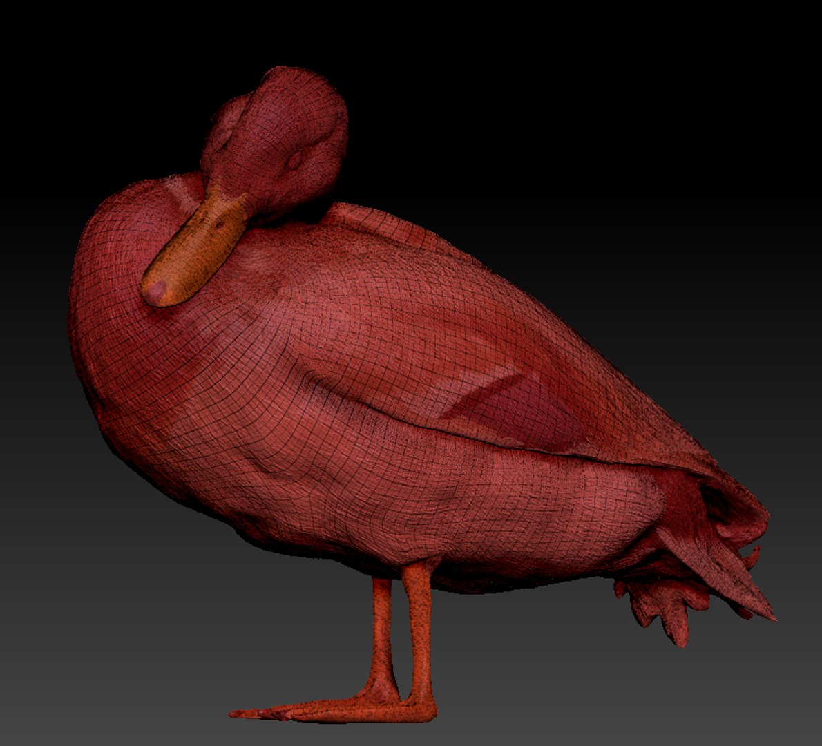 Duck 16 3D - TurboSquid 1756370