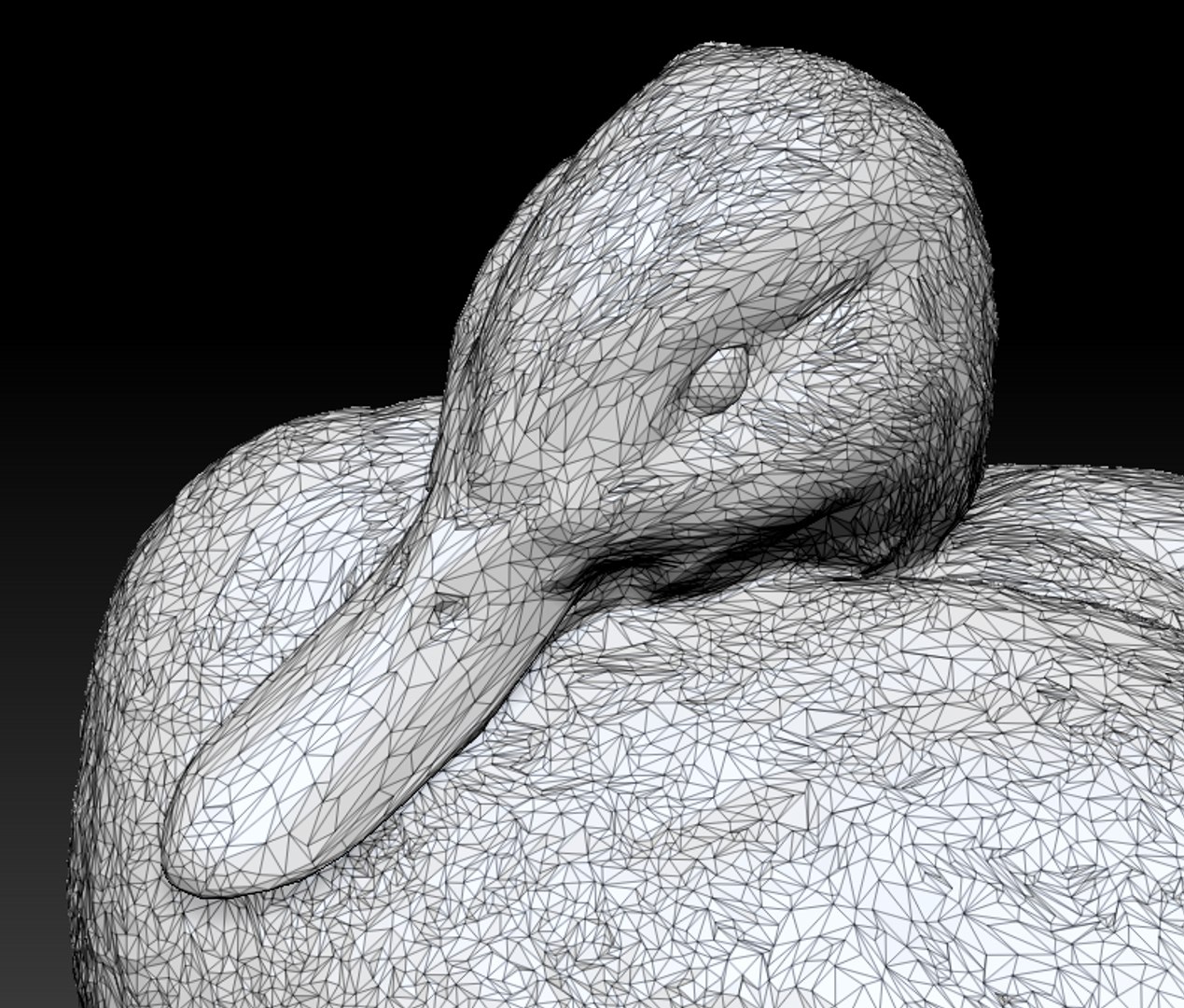 Duck 16 3D - TurboSquid 1756370
