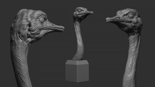base mesh ostrich 3d model