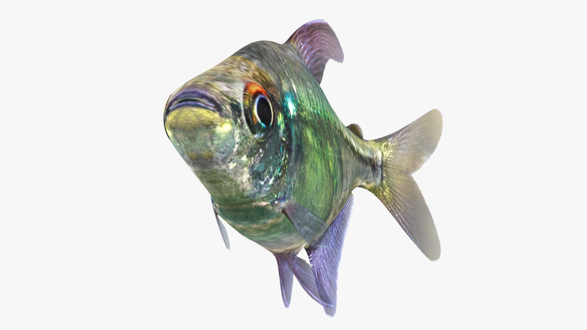 3D Diamond Tetra Animation Bones - TurboSquid 1659328