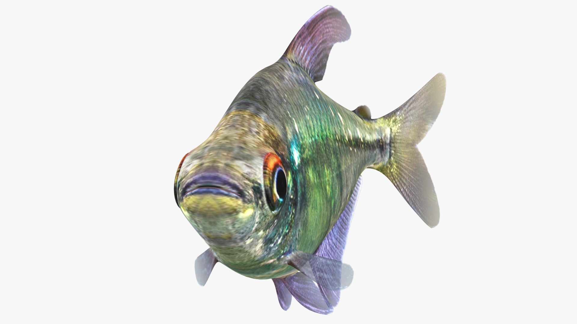 3D Diamond Tetra Animation Bones - TurboSquid 1659328