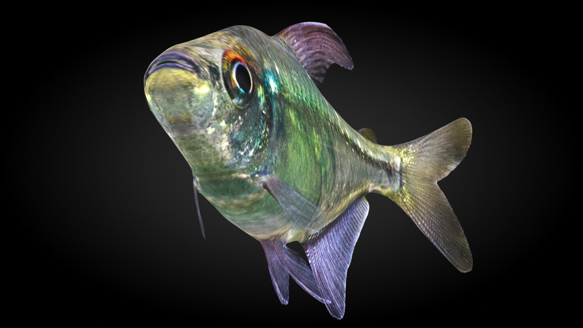 3D Diamond Tetra Animation Bones - TurboSquid 1659328