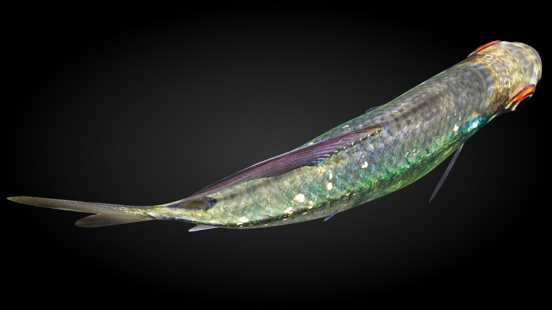 3D Diamond Tetra Animation Bones - TurboSquid 1659328