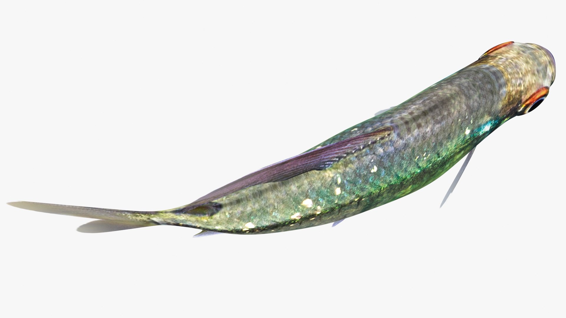3D Diamond Tetra Animation Bones - TurboSquid 1659328