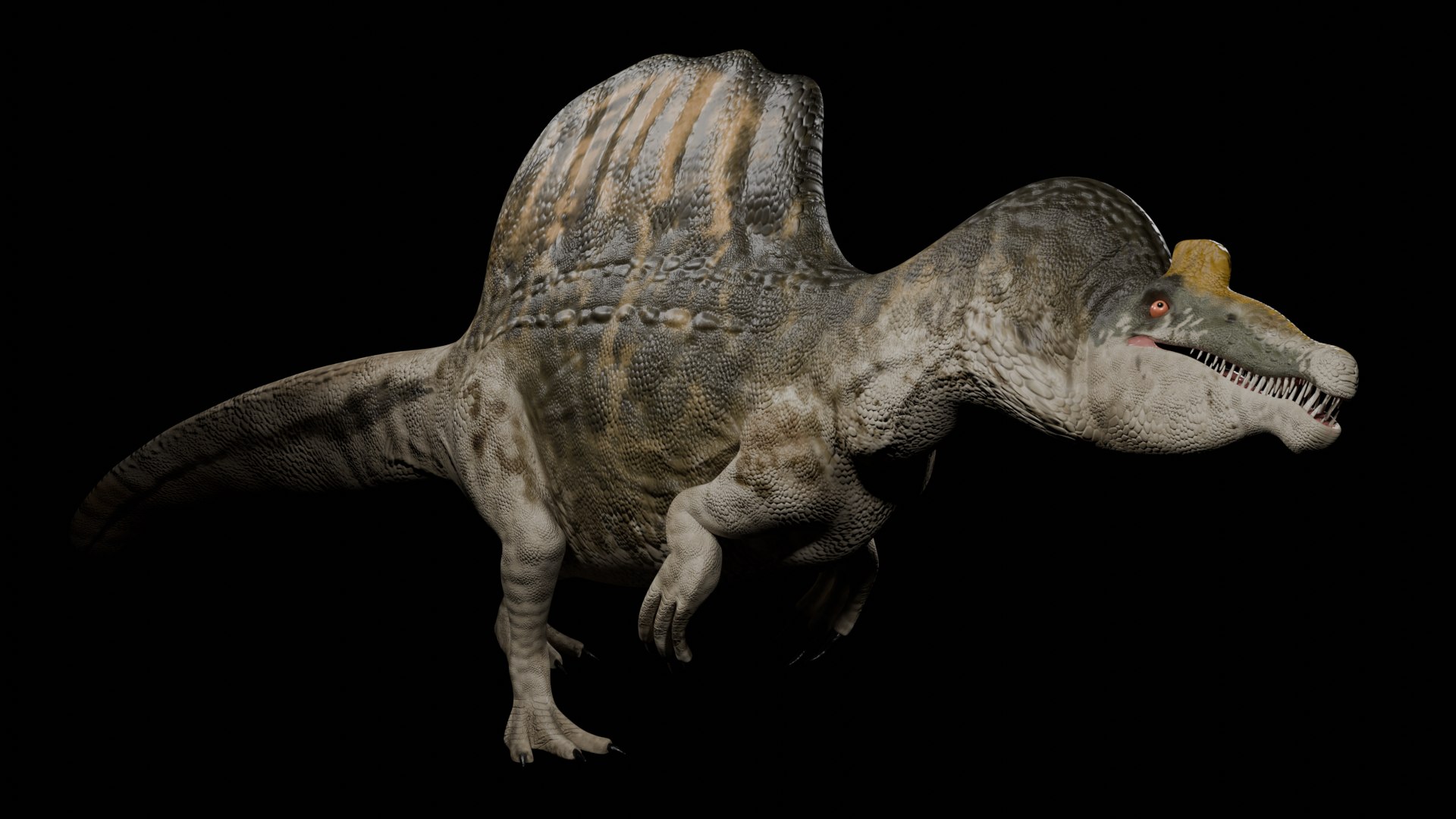 3D Spinosaurus 3D Model - TurboSquid 2554420