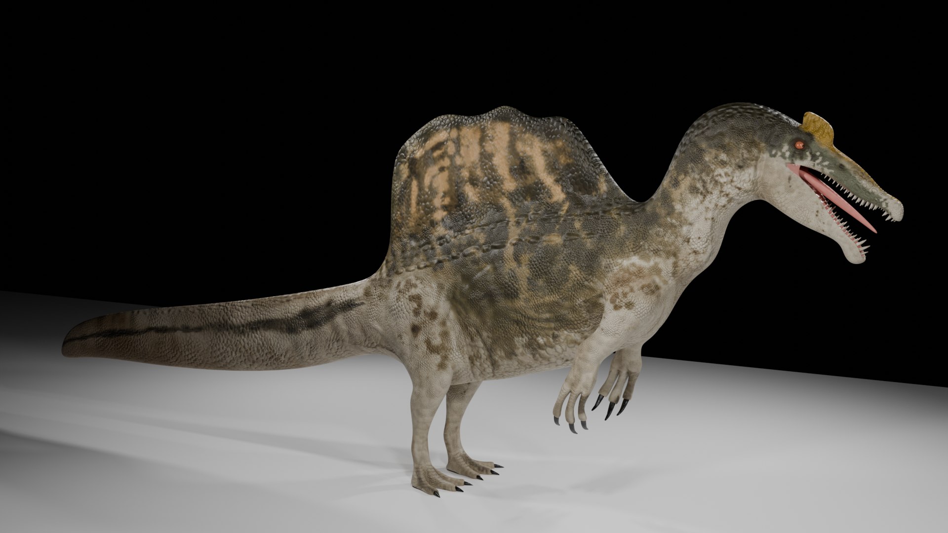 3D Spinosaurus 3D Model - TurboSquid 2554420