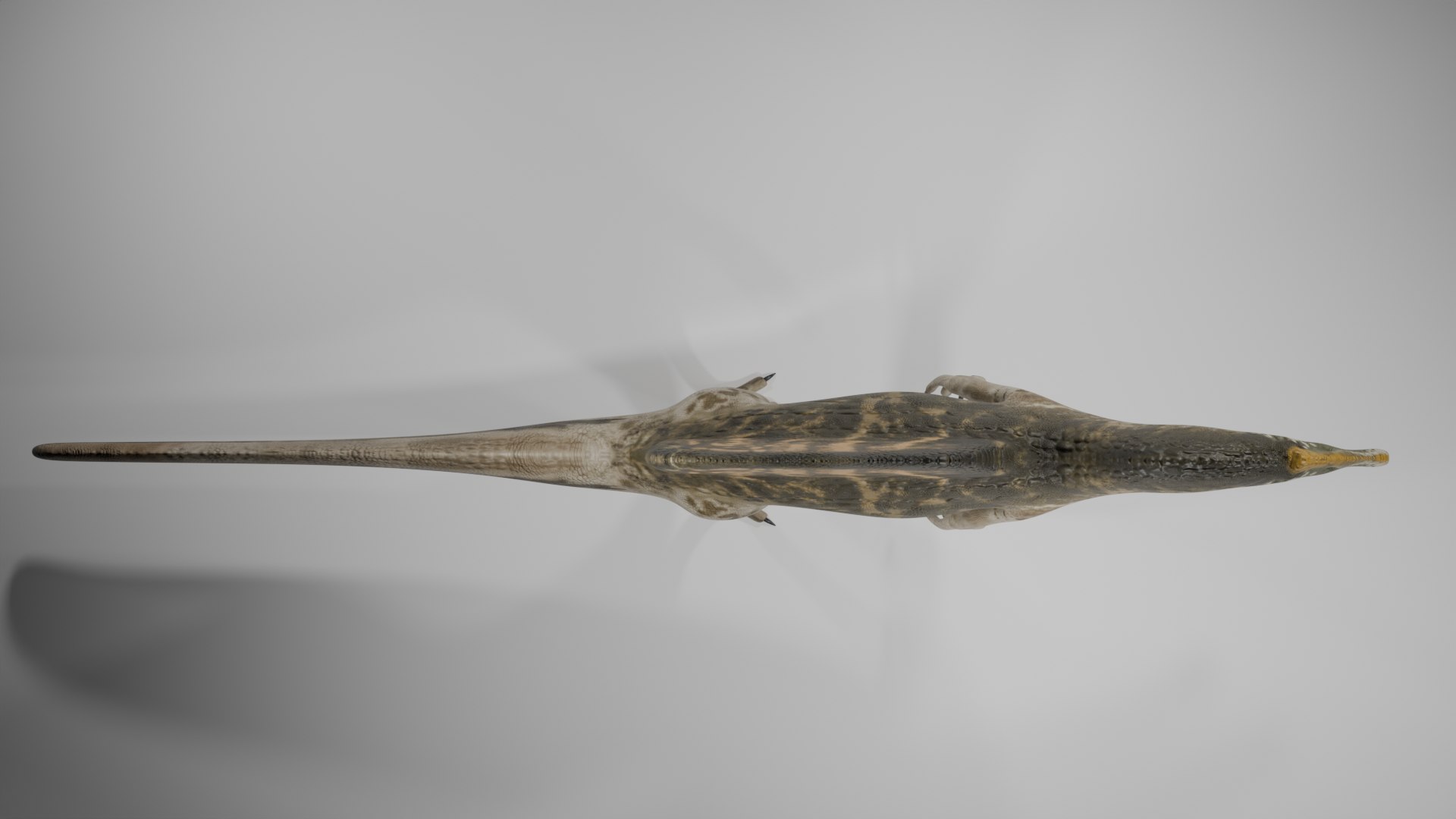 3D Spinosaurus 3D Model - TurboSquid 2554420