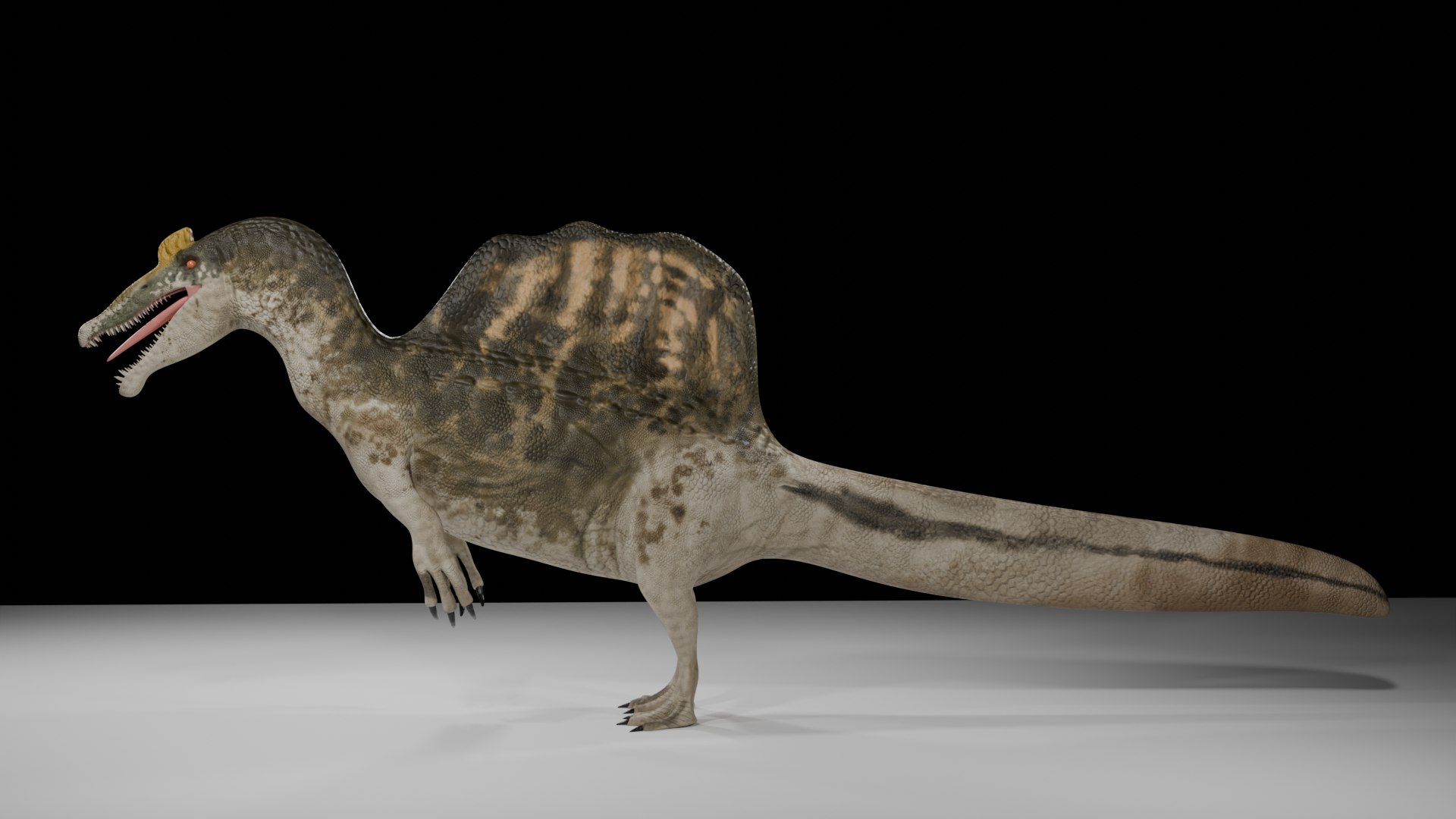 3D Spinosaurus 3D Model - TurboSquid 2554420