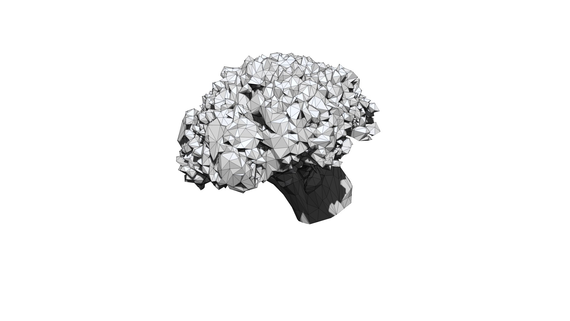 Broccoli Cut 3D CT Scan Model 5 Decimate5percent 3D Model - TurboSquid ...
