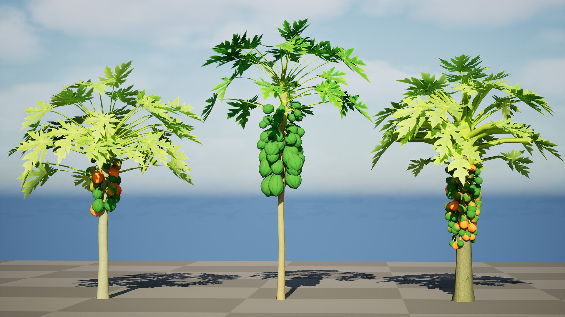 Realistic Papaya Tree 3D Model - TurboSquid 2367990