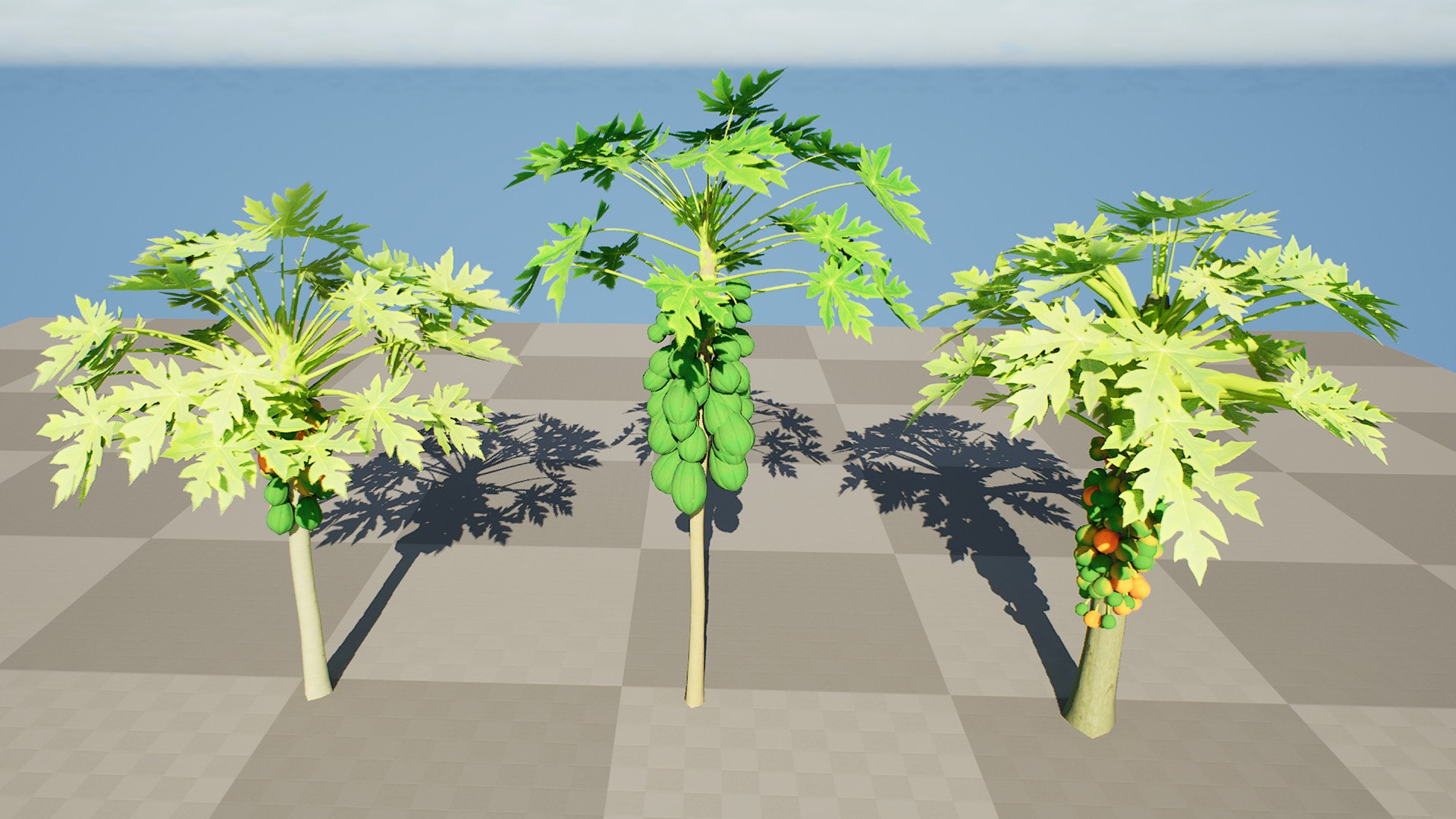 Realistic Papaya Tree 3D Model - TurboSquid 2367990