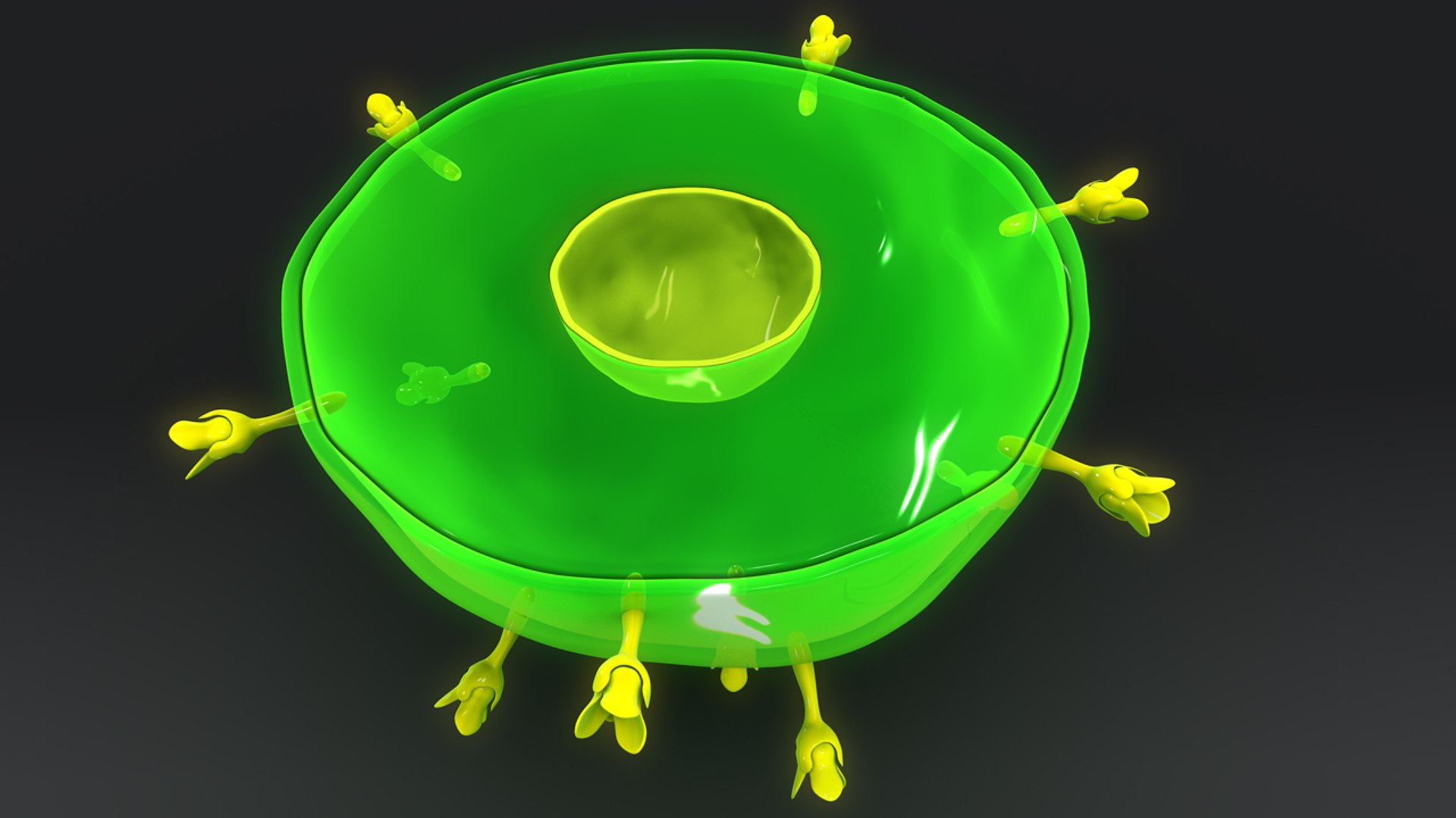 3d Model T Helper Cell Anatomy