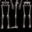 Skeletons Homo Erectus Australopithecus 3d Max