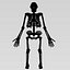 Skeletons Homo Erectus Australopithecus 3d Max