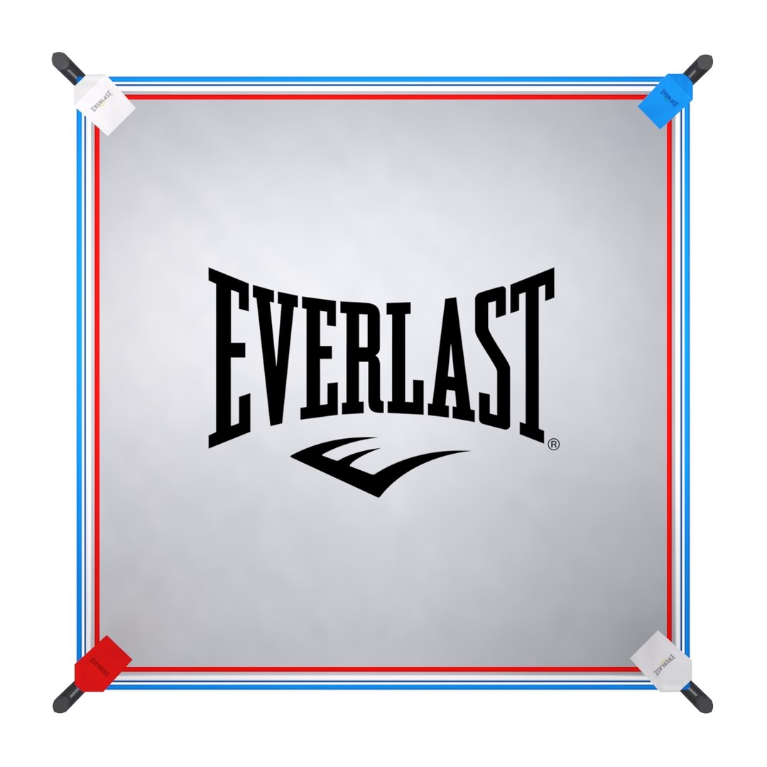 3d Boxing Ring Model
