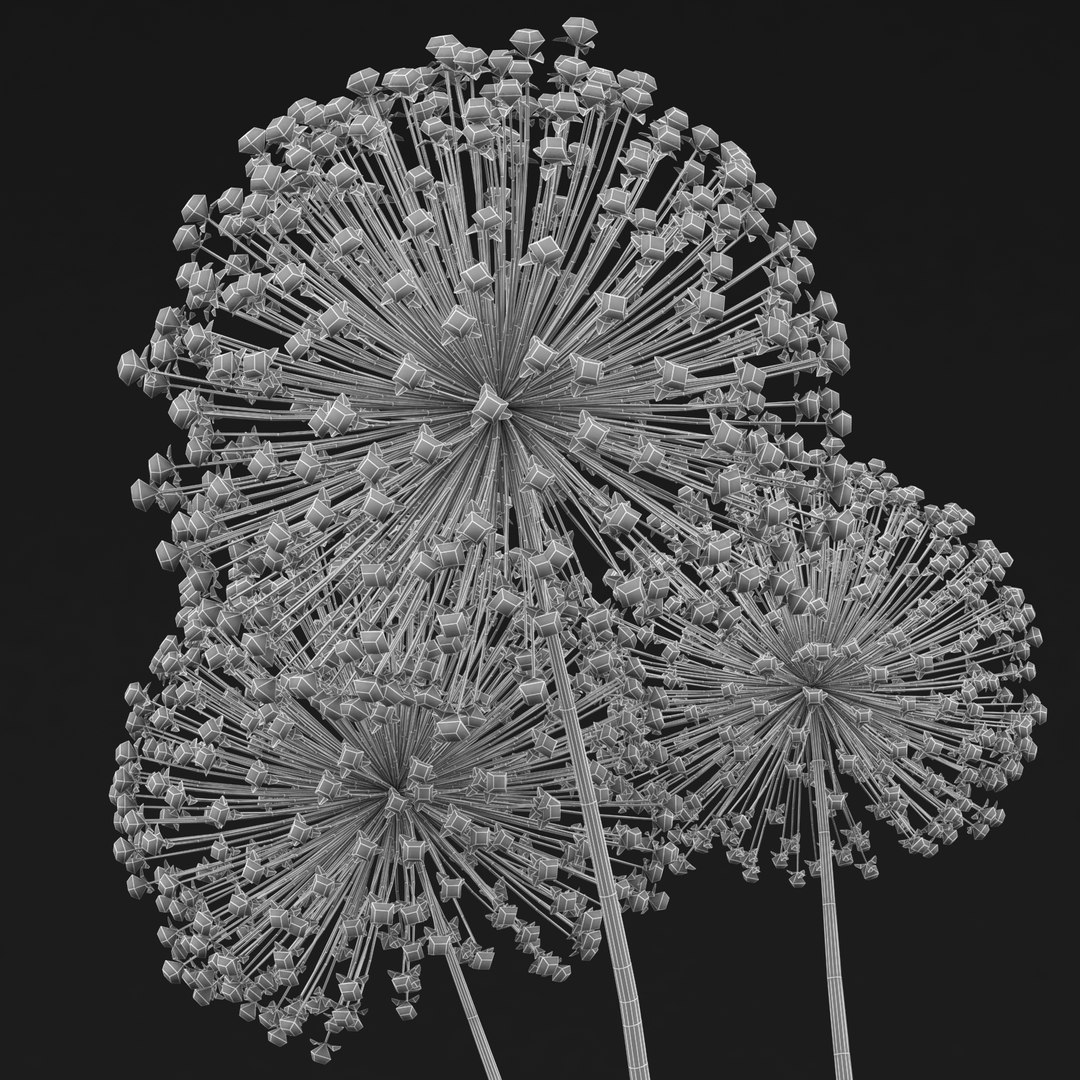 Dry Flowers Vase 3D Model - TurboSquid 1197051