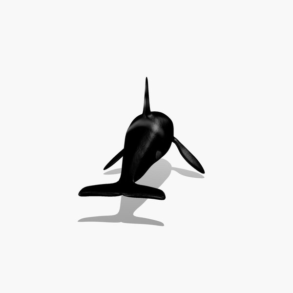 3d orca whale model