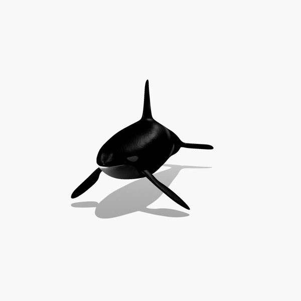 3d orca whale model