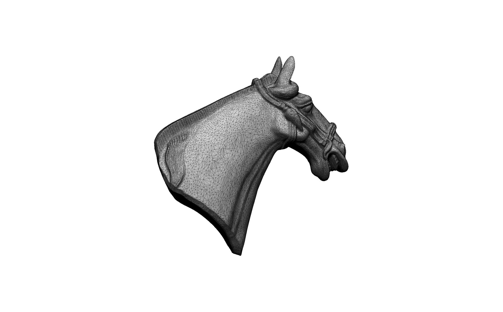 3D horse animal mane model - TurboSquid 2163055