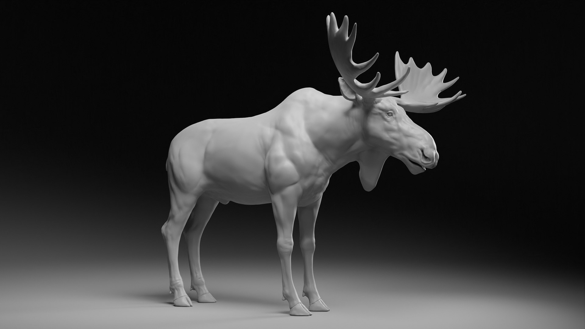 Moose Basemesh Model - TurboSquid 1749883