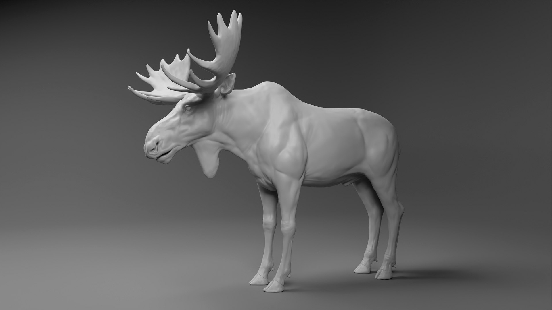 Moose Basemesh Model - TurboSquid 1749883