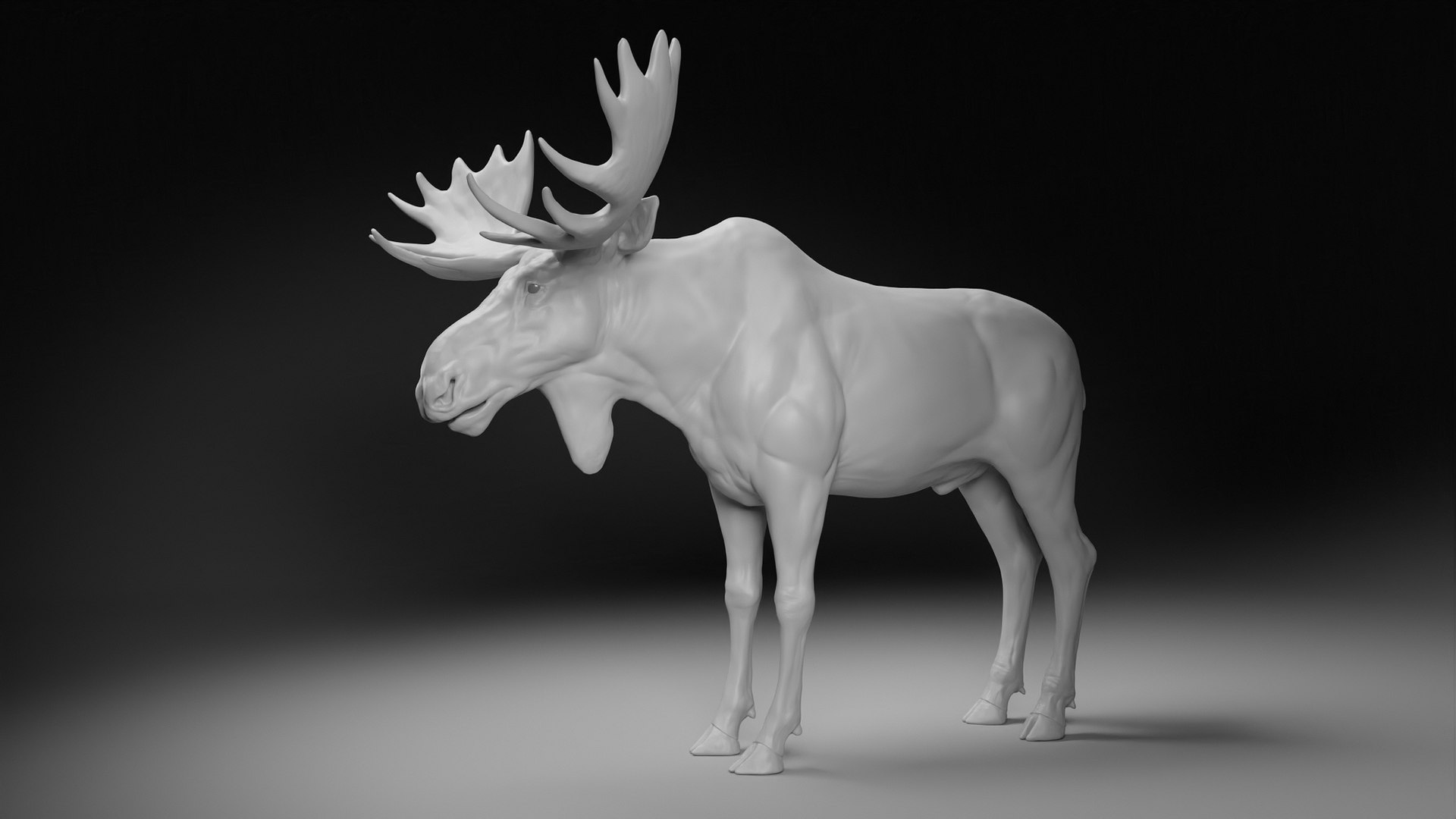 Moose Basemesh Model - TurboSquid 1749883